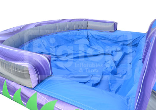 22' Double Bay Themed Water Slide DL (Double Lane) Slide with Pool ...